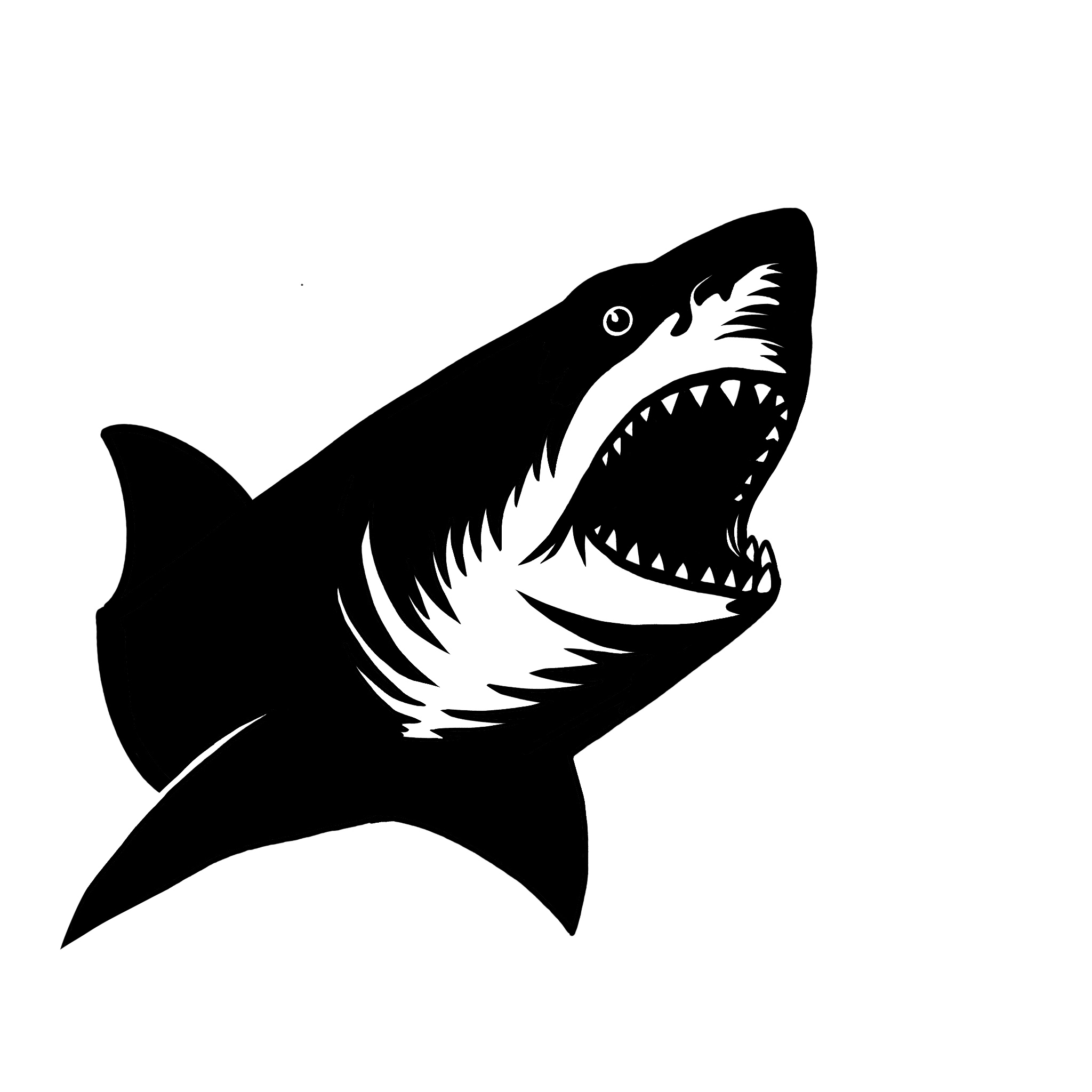 Great White Shark_03 - Hoosierdecal