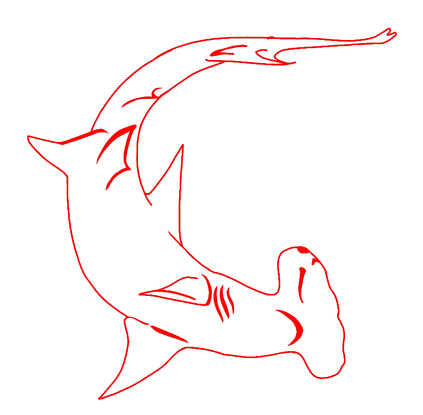 Hammerhead Shark Decal_003 - Hoosierdecal