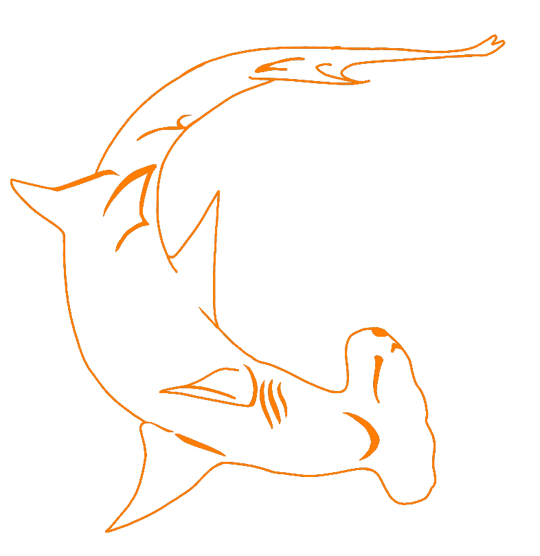 Hammerhead Shark Decal_003 - Hoosierdecal