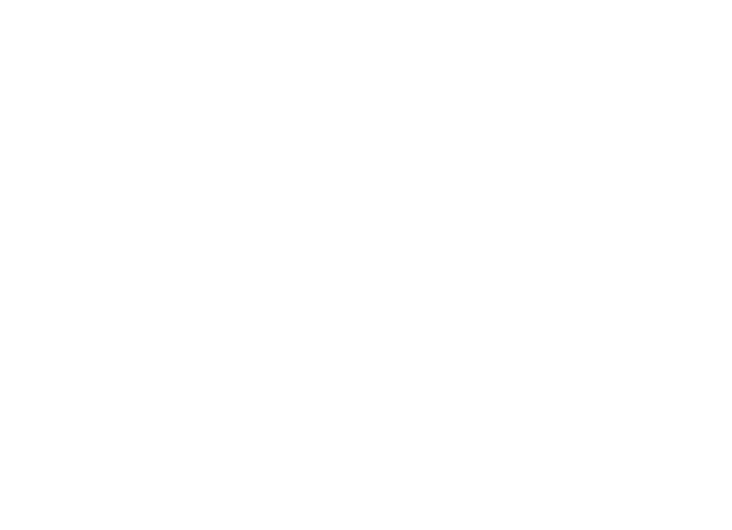 WS 1722 LV - Hoosierdecal